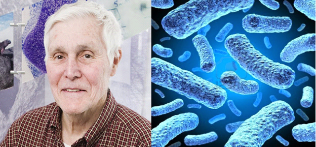 EVOLUCIÓN DE LA MICROBIOLOGIA timeline | Timetoast timelines