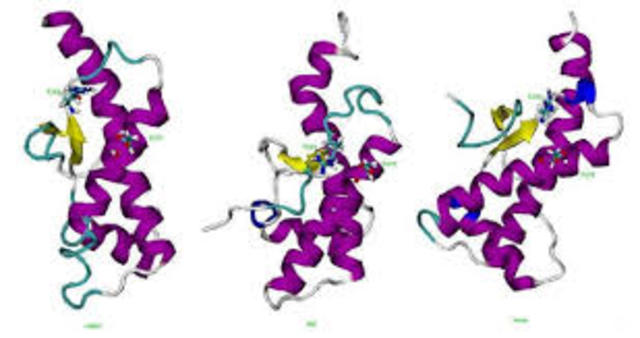 historia de la microbiologia timeline | Timetoast timelines