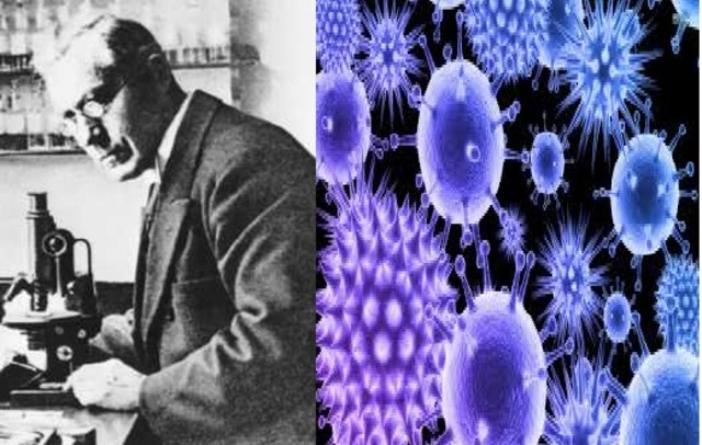 HISTORIA DE LA MICROBIOLOGIA timeline | Timetoast timelines