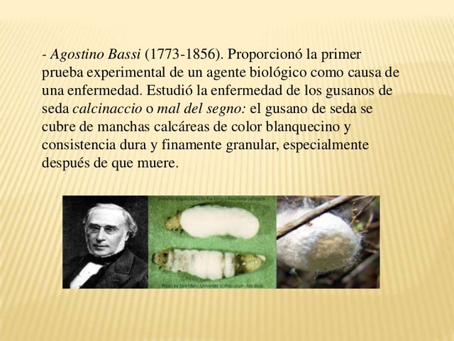 HISTORIA DE LA MICROBIOLOGIA timeline | Timetoast timelines
