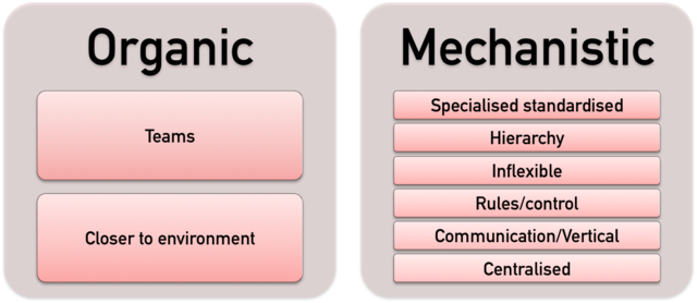 History and Contemporary theories Management timeline | Timetoast timelines
