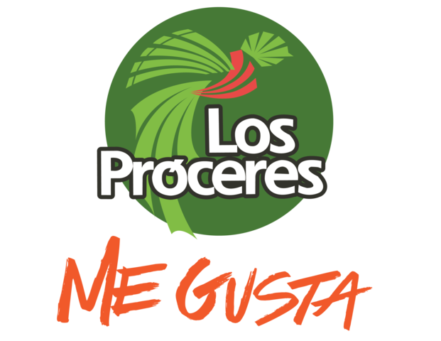 Time Line Centro Comercial Los Próceres timeline | Timetoast timelines