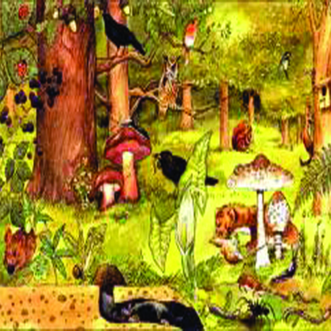 Biología Celular timeline | Timetoast timelines