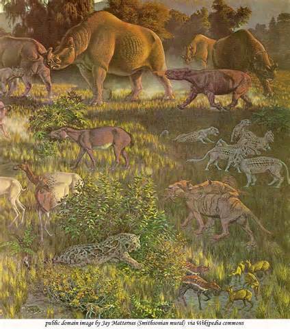 My Journey Through Geologic Time timeline | Timetoast timelines