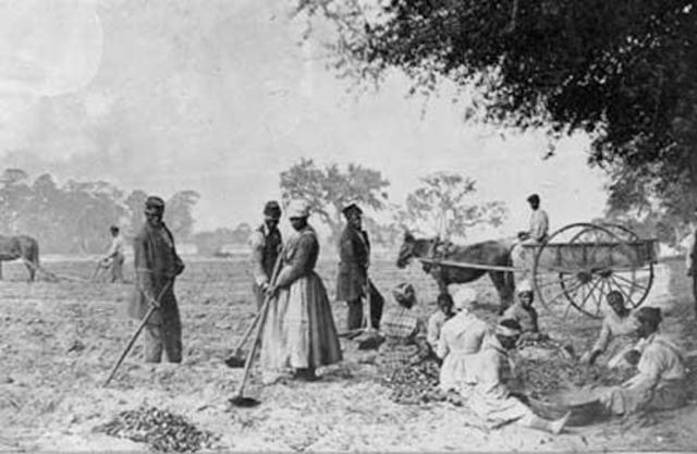 APUSH Unit 5 Timeline Project | Timetoast timelines