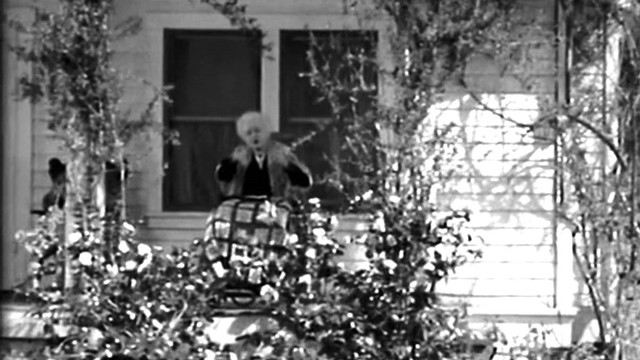 TKAM timeline | Timetoast timelines