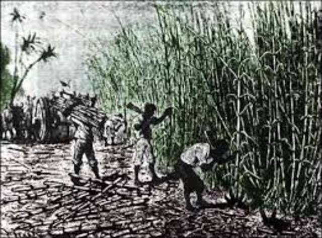 Cuban History timeline | Timetoast timelines