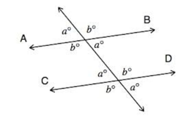 Parallel Lines & Transversals timeline | Timetoast timelines