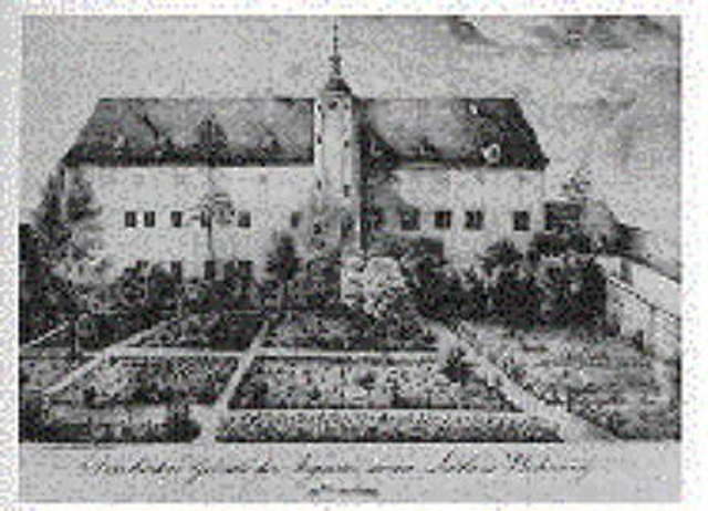 Gregor Mendel timeline | Timetoast timelines