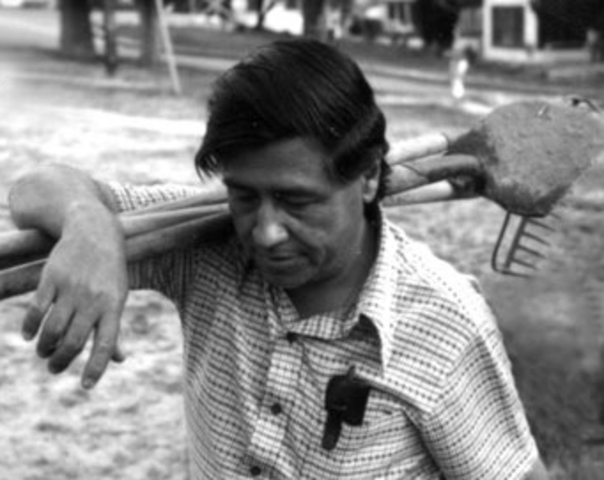 César Estrada Chávez timeline | Timetoast timelines