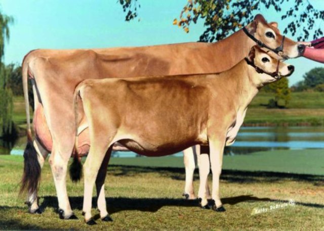 History of cloning timeline | Timetoast timelines