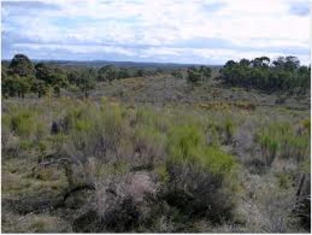 Western Australian Mulga Shrublands timeline | Timetoast timelines