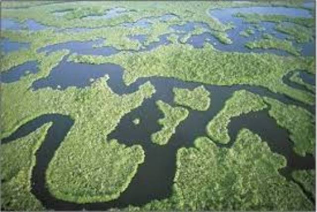 Everglades timeline | Timetoast timelines