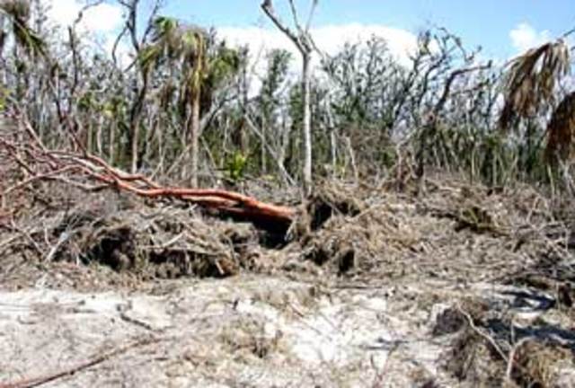 Everglades timeline | Timetoast timelines