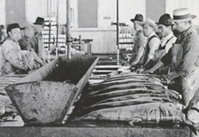 History of northwest fishing timeline | Timetoast timelines