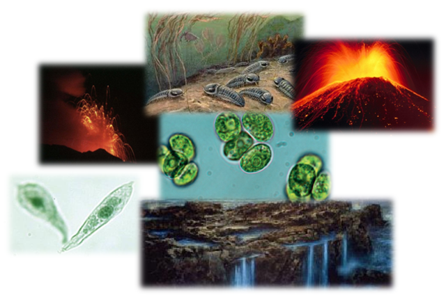 Eras geologicas timeline | Timetoast timelines
