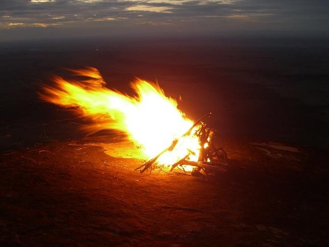 Lord of the Flies timeline | Timetoast timelines