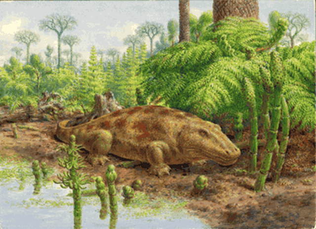 Eras geológicas de la Tierra timeline | Timetoast timelines