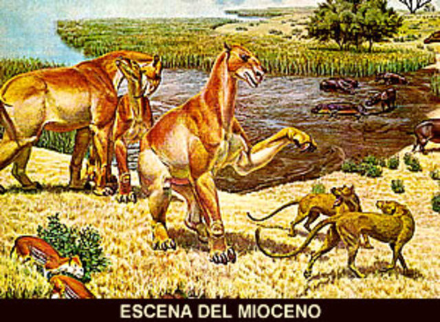 Eras de la tierra timeline | Timetoast timelines