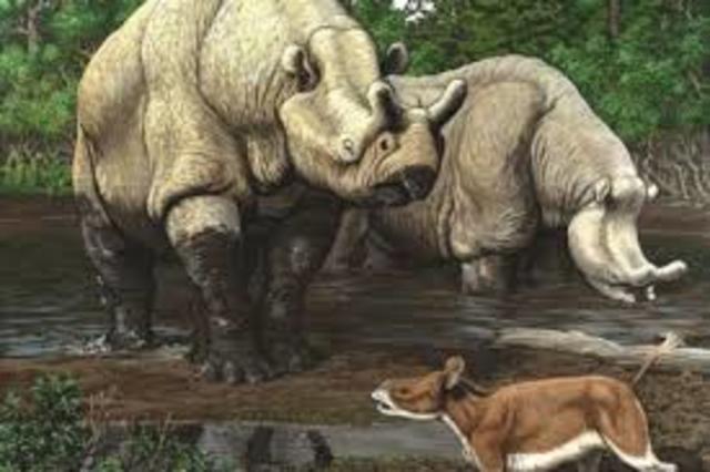 ERAS DE LA TIERRA timeline | Timetoast timelines