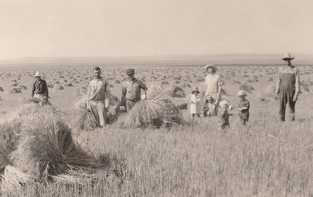 The Dust Bowl timeline | Timetoast timelines