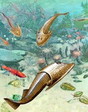 La Historia de la Tierra timeline | Timetoast timelines