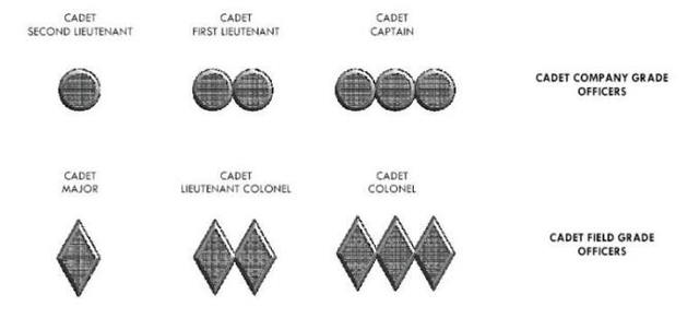 Summer and School Timeline | Timetoast timelines