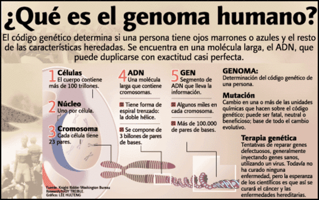 La Genética y sus avances. timeline | Timetoast timelines