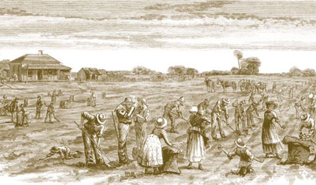 Australian Colonisation timeline | Timetoast timelines