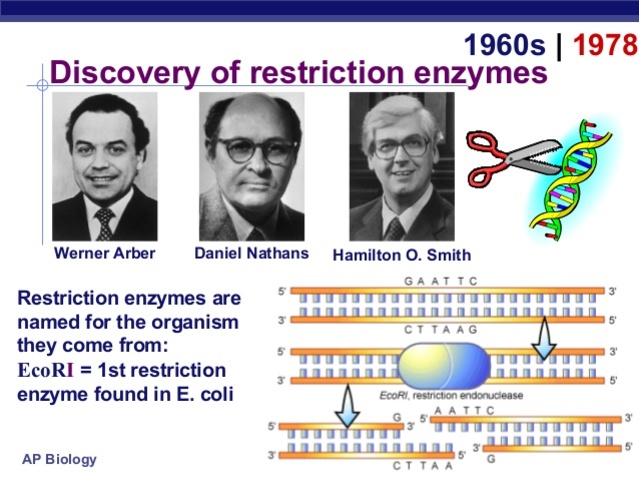 Historia de la Microbiologia timeline | Timetoast timelines