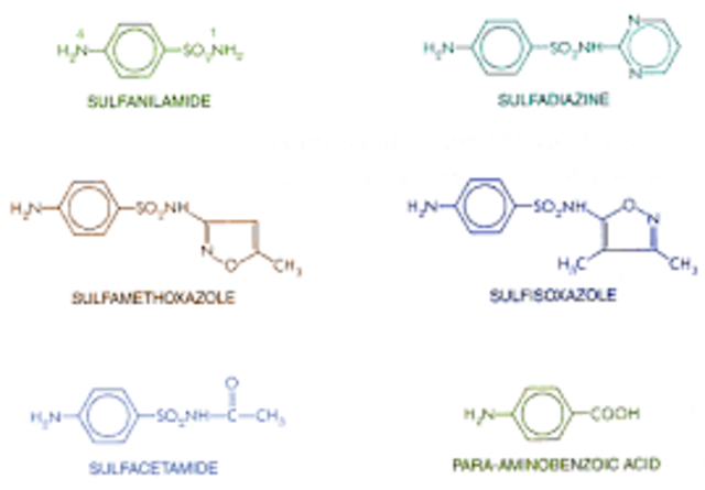 linea de tiempo microbiologia(JUAN DIEGO JIMENEZ 55713052) timeline ...