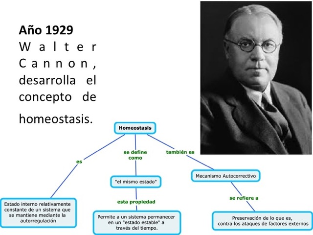 EVOLUCION DEL CONCEPTO DE SISTEMA timeline | Timetoast timelines
