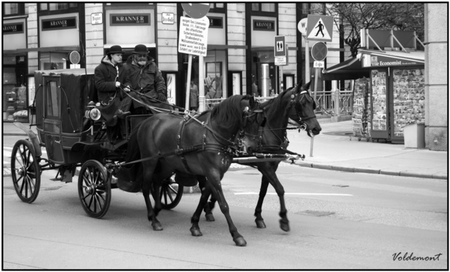 evolución de los medios de transporte timeline | Timetoast timelines