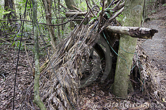 Lord of the Flies timeline | Timetoast timelines