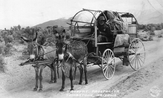 The Western Migration timeline | Timetoast timelines