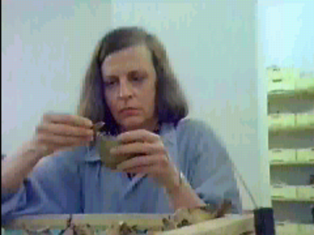 The History of Forensic Science timeline | Timetoast timelines