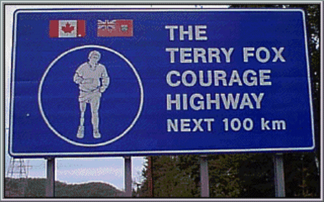 Terry Fox's Accomplishments and Impacts timeline | Timetoast timelines