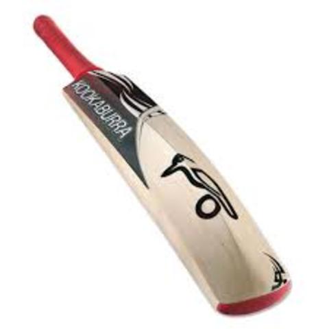 The evolution of Softball bats timeline | Timetoast timelines