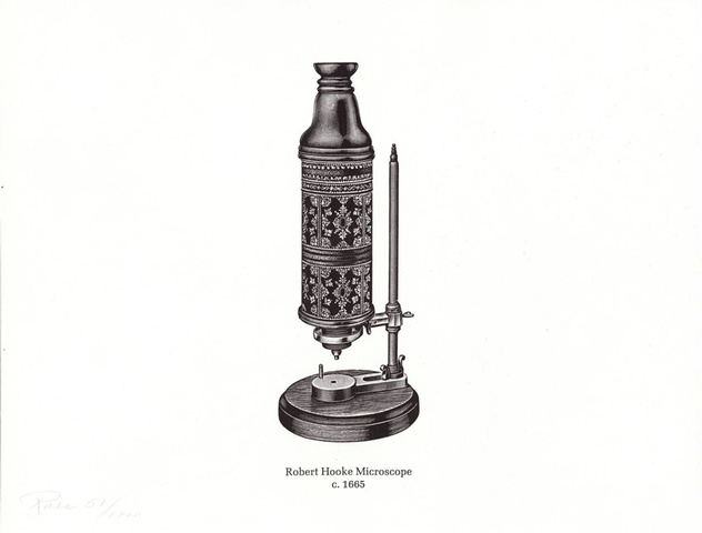 Medical Invesitgations 1 timeline | Timetoast timelines