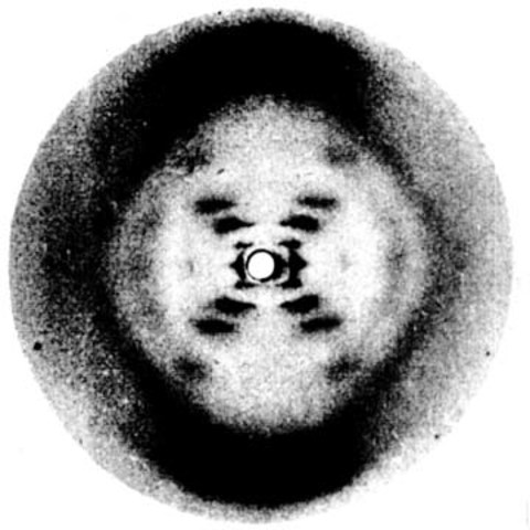 History Of Biotechnology: Timeline | Timetoast timelines