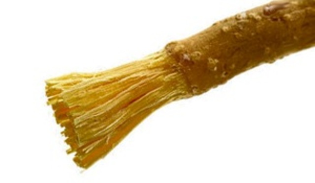 The Toothbrush timeline | Timetoast timelines