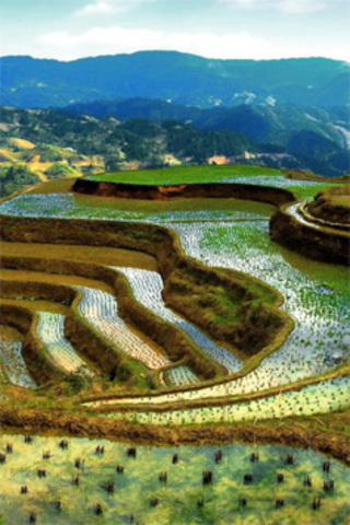 The Impact of Political Structure on World History from 500 C.E. to ...