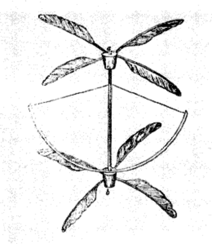 The Helicopter timeline | Timetoast timelines