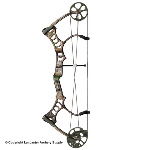 The Evolution of The Bow and Arrow timeline | Timetoast timelines