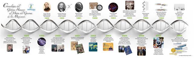 La Cronologa Del Descubrimiento Del Genoma Humano
