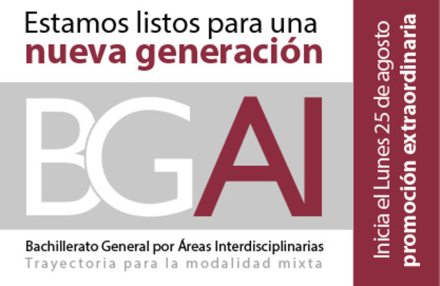 SECUENCIA DE ACTIVIDADES DEL ASESOR BGAI timeline | Timetoast timelines