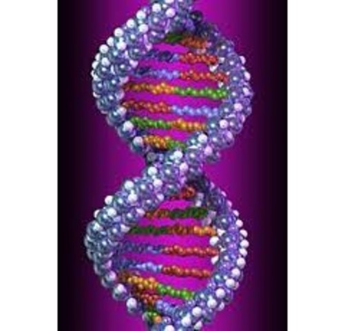 Biología Molecular timeline | Timetoast timelines