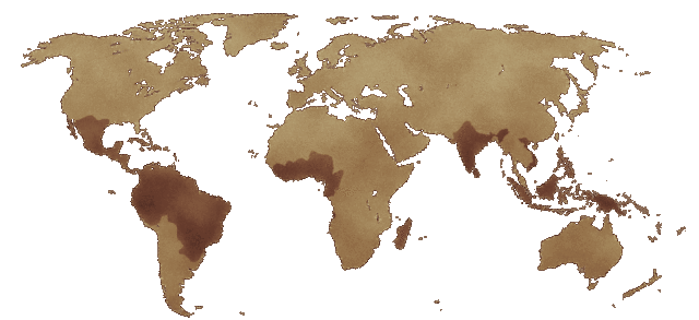 Where does chocolate come from? timeline | Timetoast timelines