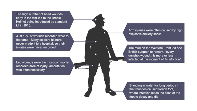 World war 1 (Medicine/ Relief organizations/ Diseases) ||| The Great ...