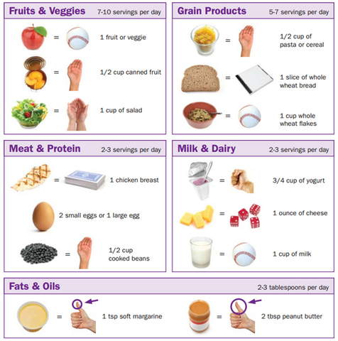 Tips for Knowing Food Portion Sizes timeline | Timetoast timelines